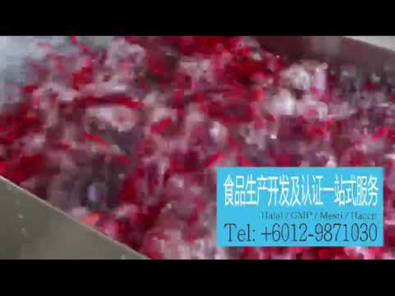 Washing Machine A (蔬果清洗机) – Rainforest Food